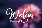 Welga | Script Fonts ~ Creative Market