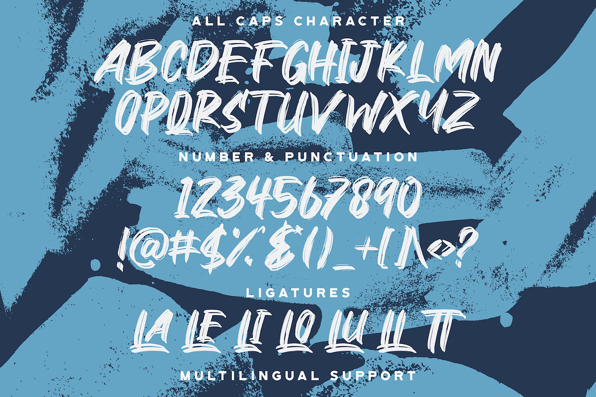 Ronald Charis - Textured Brush Font, a Script Font by StringLabs