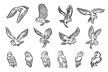 Wings illustration set, an Animal Illustration by Artha Design Studio