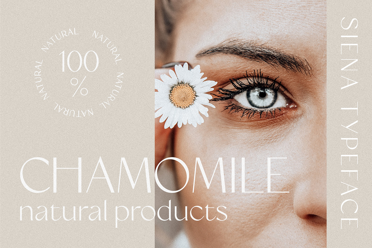 Siena Typeface, a Sans Serif Font by Ivan Rosenberg | fonte siena ...