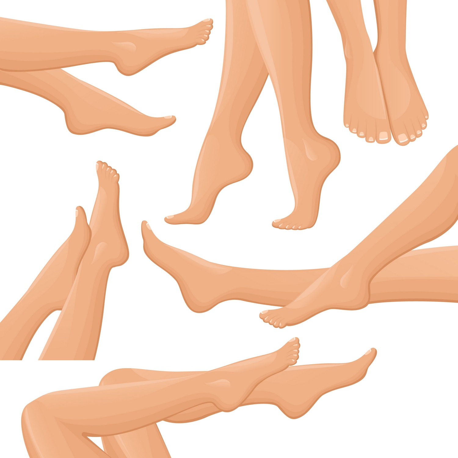 Female Legs Set, a Decorative Illustration by Alexander Belenkiy