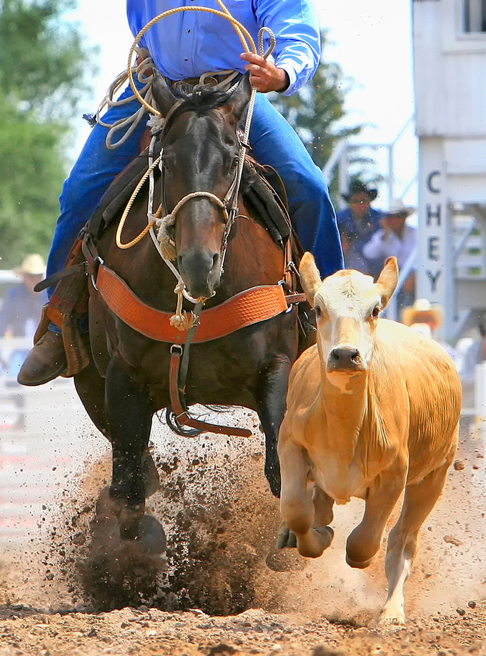 Vertical - The Chase, a Sports & Recreation Photo by RodeoPixels ...