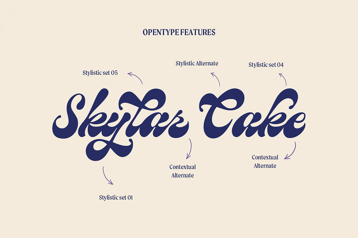 Birchside Script, a Script Font by Get Studio