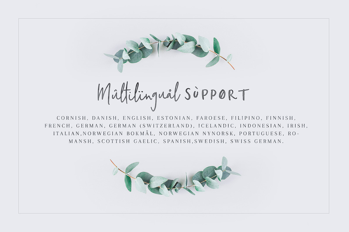 Poppit & Finch Fonts & Illustrations, a Script Font by Nicky Laatz