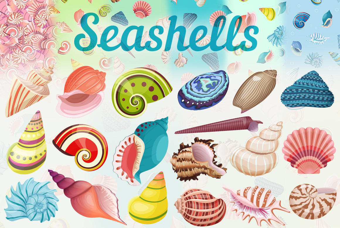 Seashells set & patterns collection, a Graphic by Lemberg Vector ...