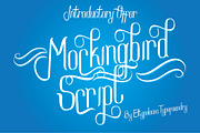 Mockingbird Script, a Script Font by Bang Kumis Typefoundry