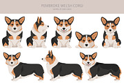 Pembroke Welsh Corgi clipart