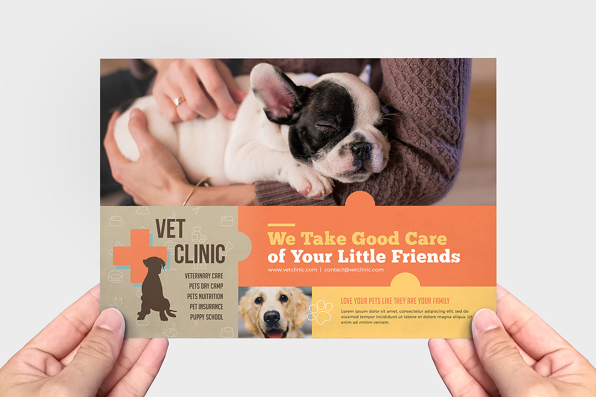 Vet Clinic Flyer Template, a Flyer Template by BrandPacks