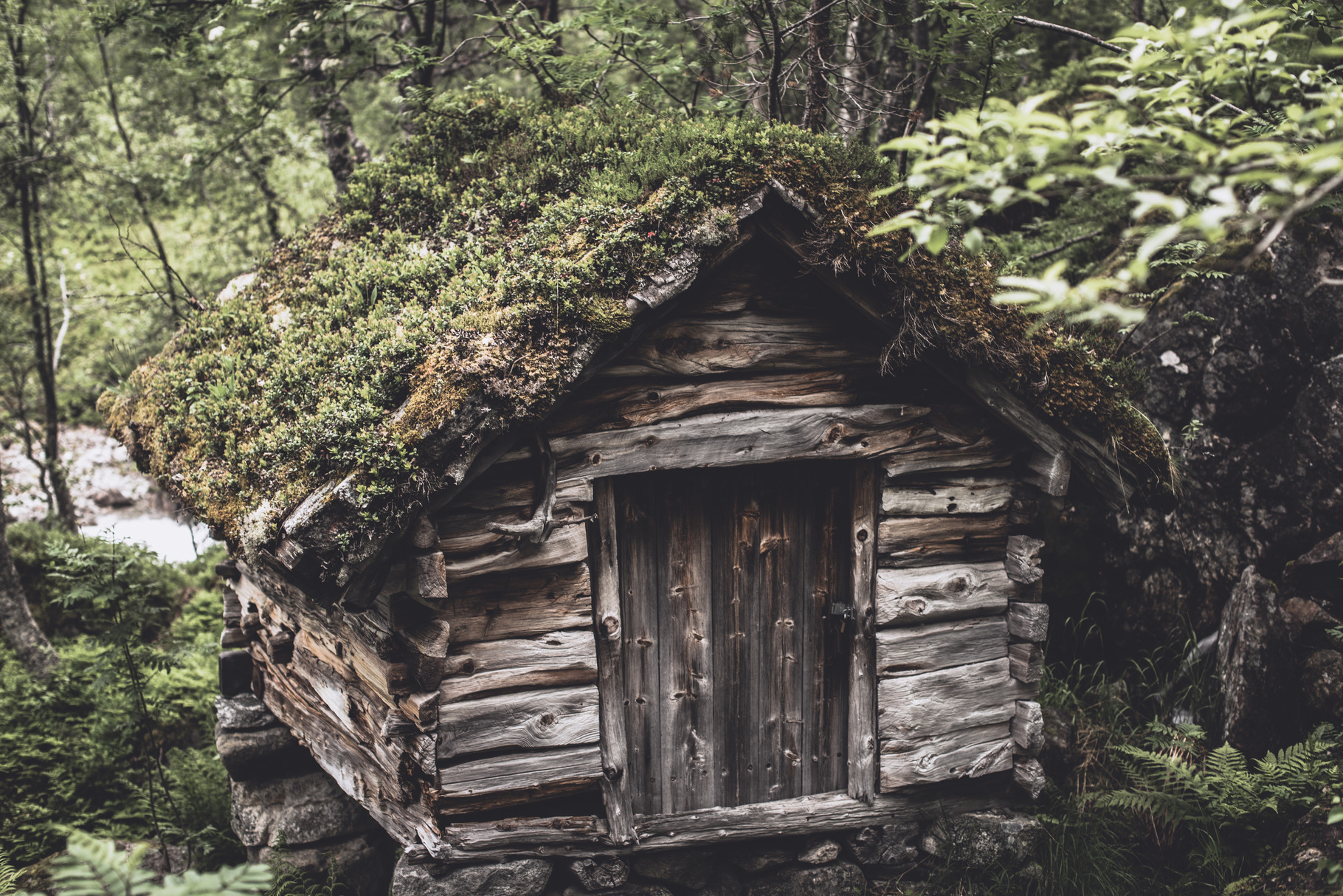 Small wooden hut in the forest stock photo containing hut and moss, an ...