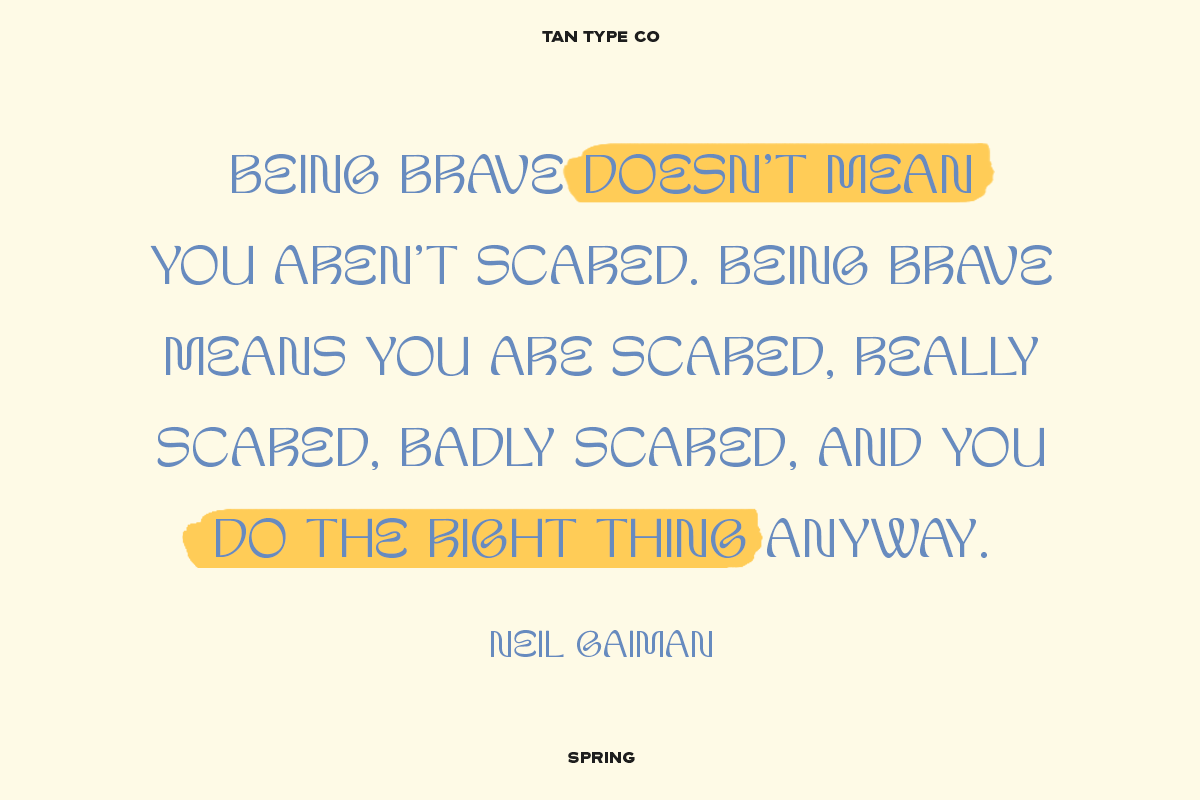 TAN-SPRING, a Sans Serif Font by TanType