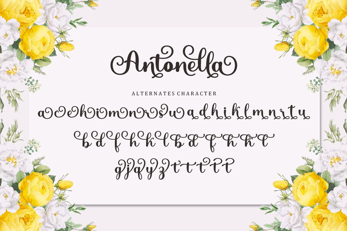 Antonella Script, a Script Font by Bosstype Studio