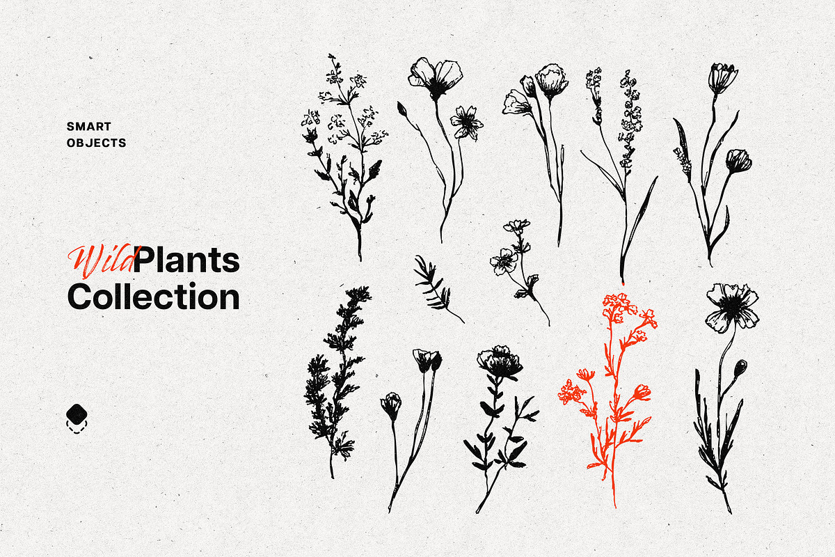 Wild Plants Graphic Set, an Object Graphic by Design Squad