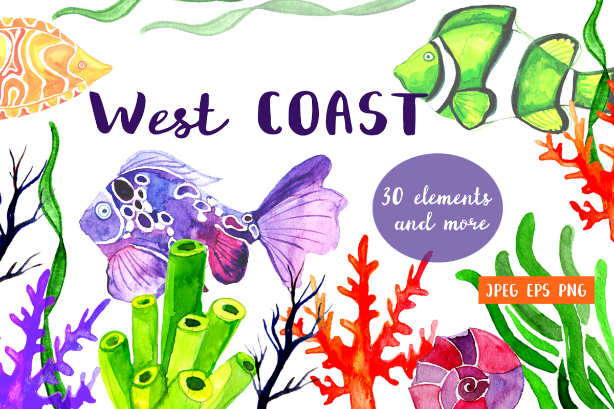 West Coast, an Animal Illustration by Maria Zebroff | Creative Market