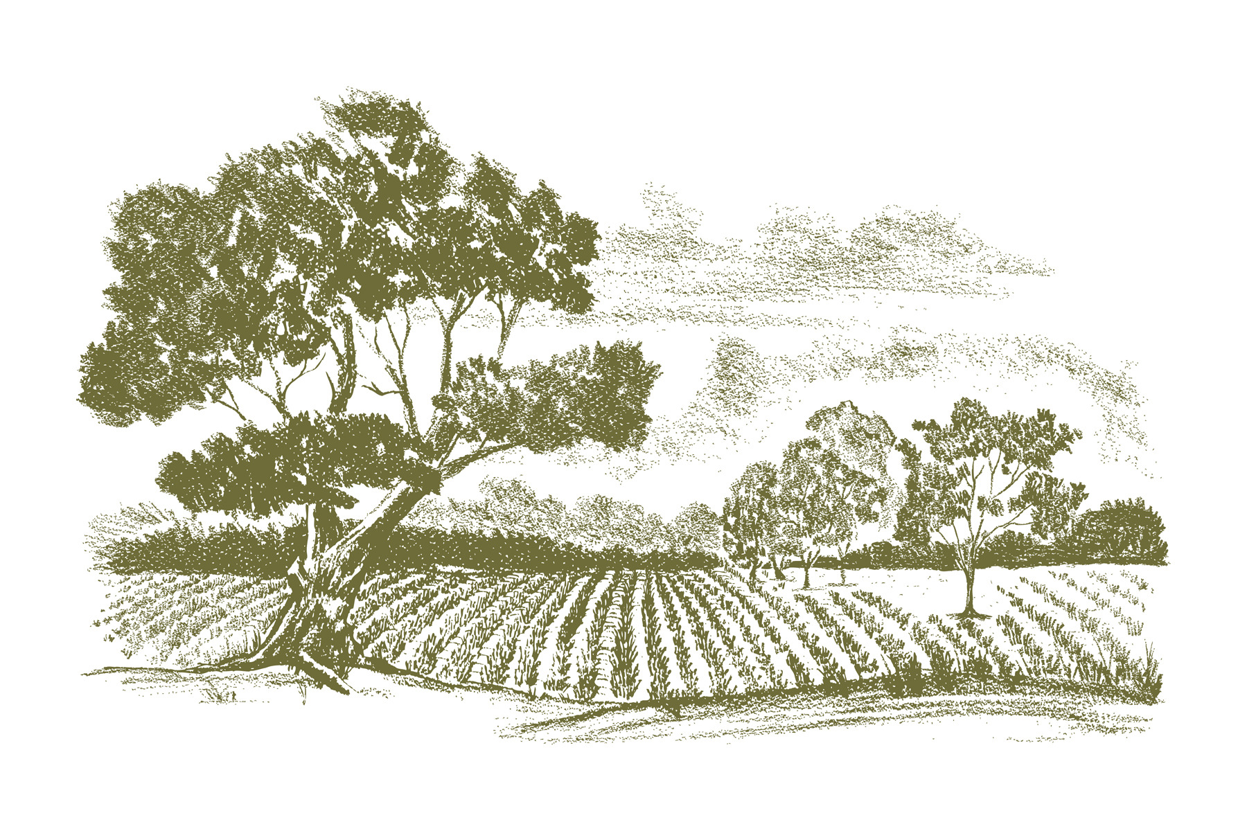 Farm Field Drawing, a Graphic by blue67sign