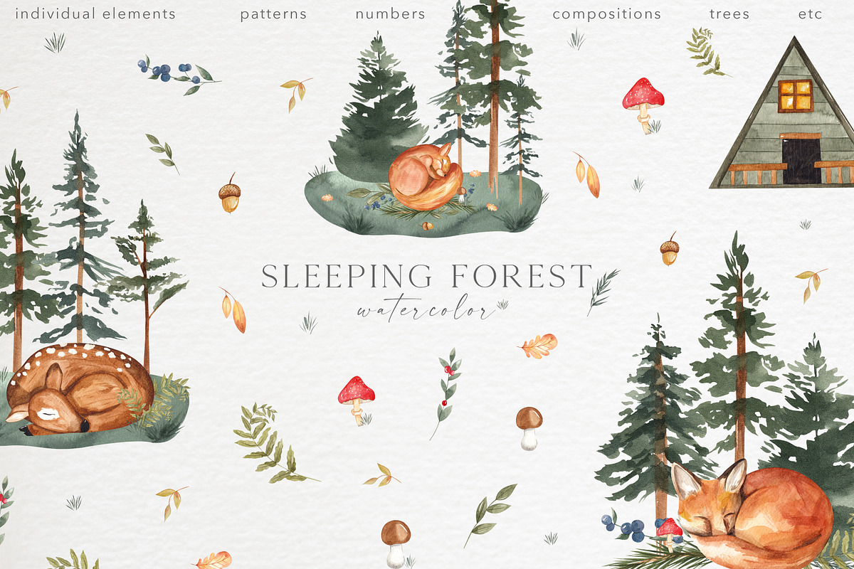 Sleeping FOREST. Watercolor animals