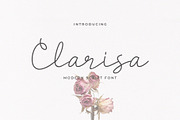 Clarisa Modern Script, a Handwritten Font by Heinzel Std