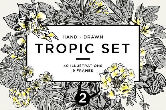 TROPIC set 2 | Decorative Illustrations ~ Creative Market