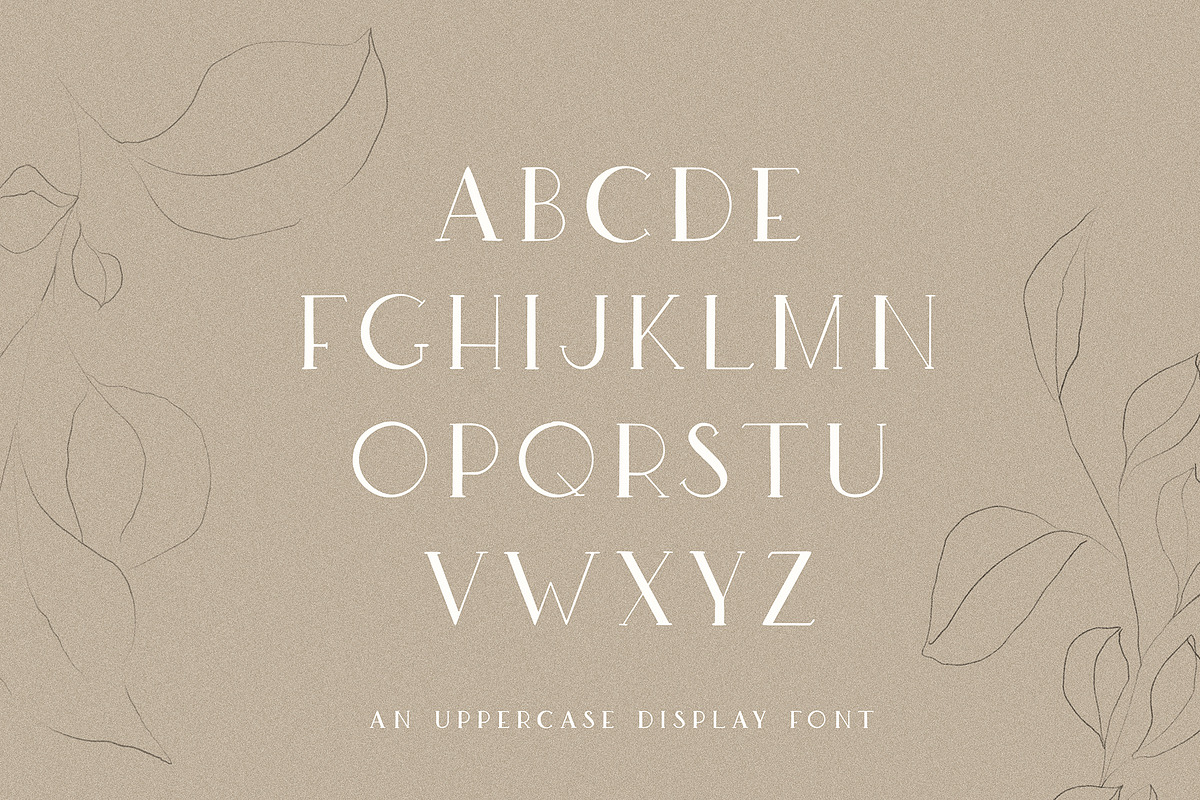 Wild Rye Hand Lettered Display Font, a Serif Font by Laras Wonderland