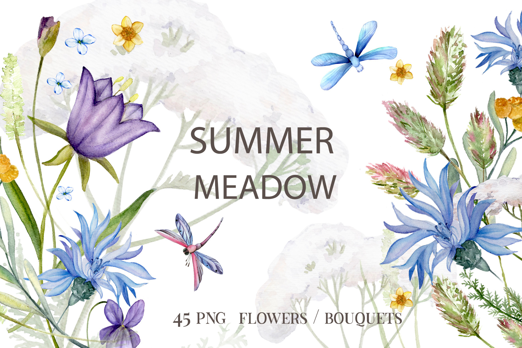 Summer meadow. Wild flowers clipart, an Illustration by MarinaSur_Art