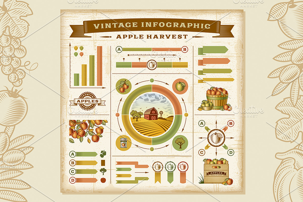 Apple Harvest Infographic Set, a Food Illustration by Retro Graphics