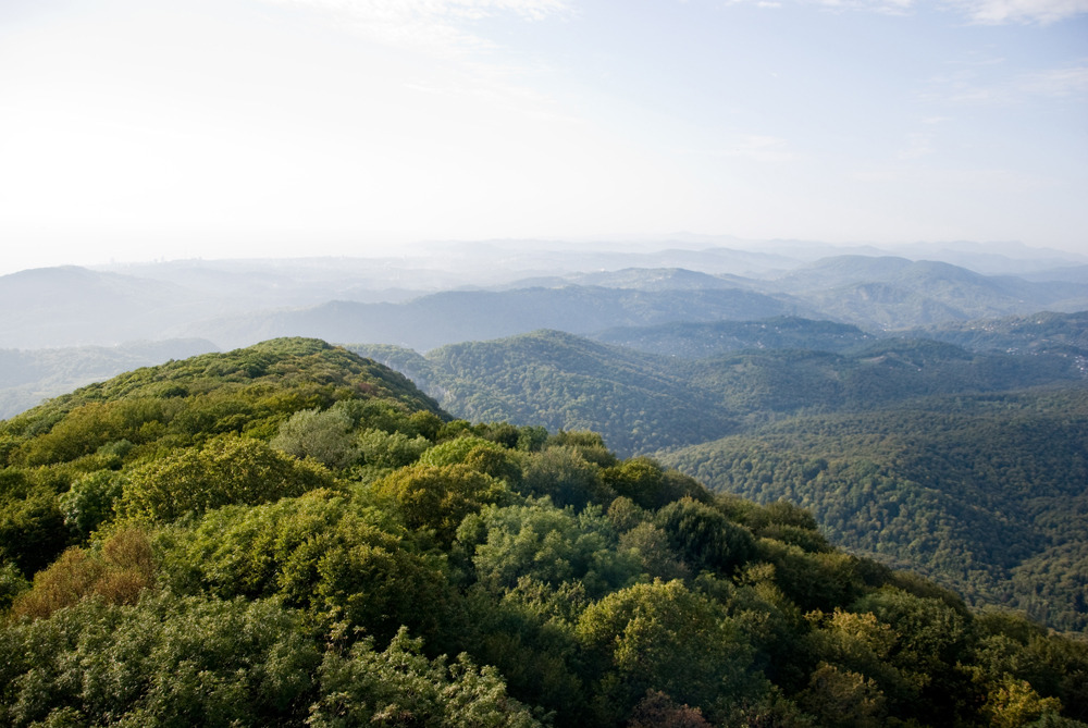Mountain View, forested., a Nature Photo by katykin | Creative Market