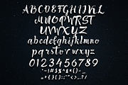 Bagthina - Script Font