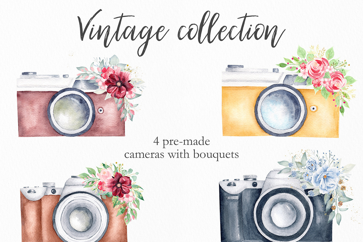 Watercolor Vintage Cameras Set, a Decorative Illustration by ...