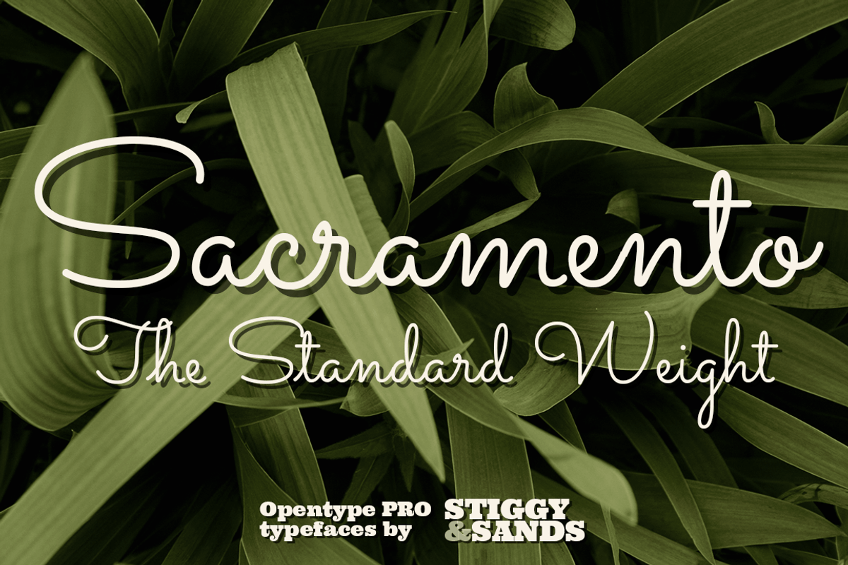 Sacramento Pro, a Script Font by Stiggy & Sands