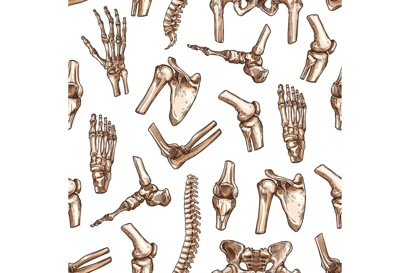 Human skeleton bone seamless pattern background, a Healthcare ...