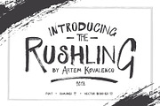 RUSHLING textured font +Vector bonus, a Script Font by ArtemKovalenco ...