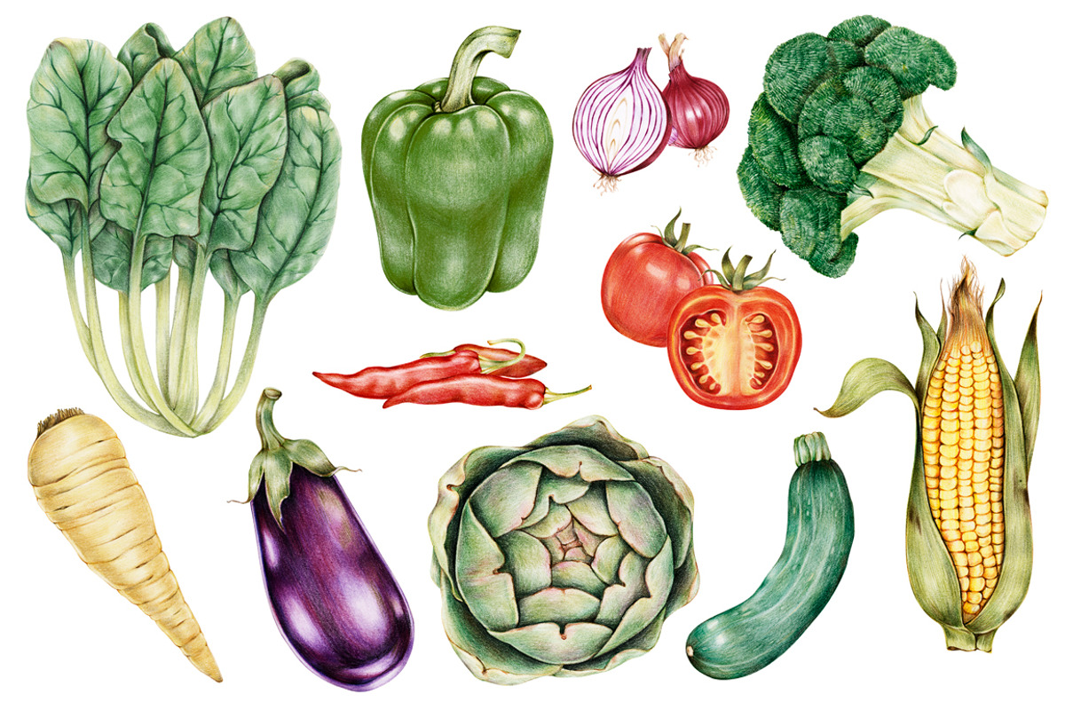 29 Incredible hand-drawn vegetables, a Food Illustration by rawpixel