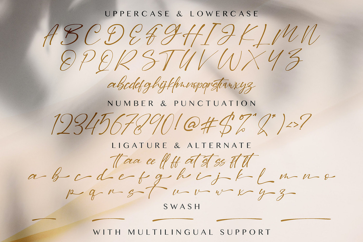 Dilan Script - Modern Script Font, a Script Font by StringLabs | Creative Market