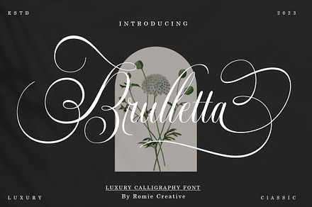 The Mozart Script, a Script Font by Blessed Print