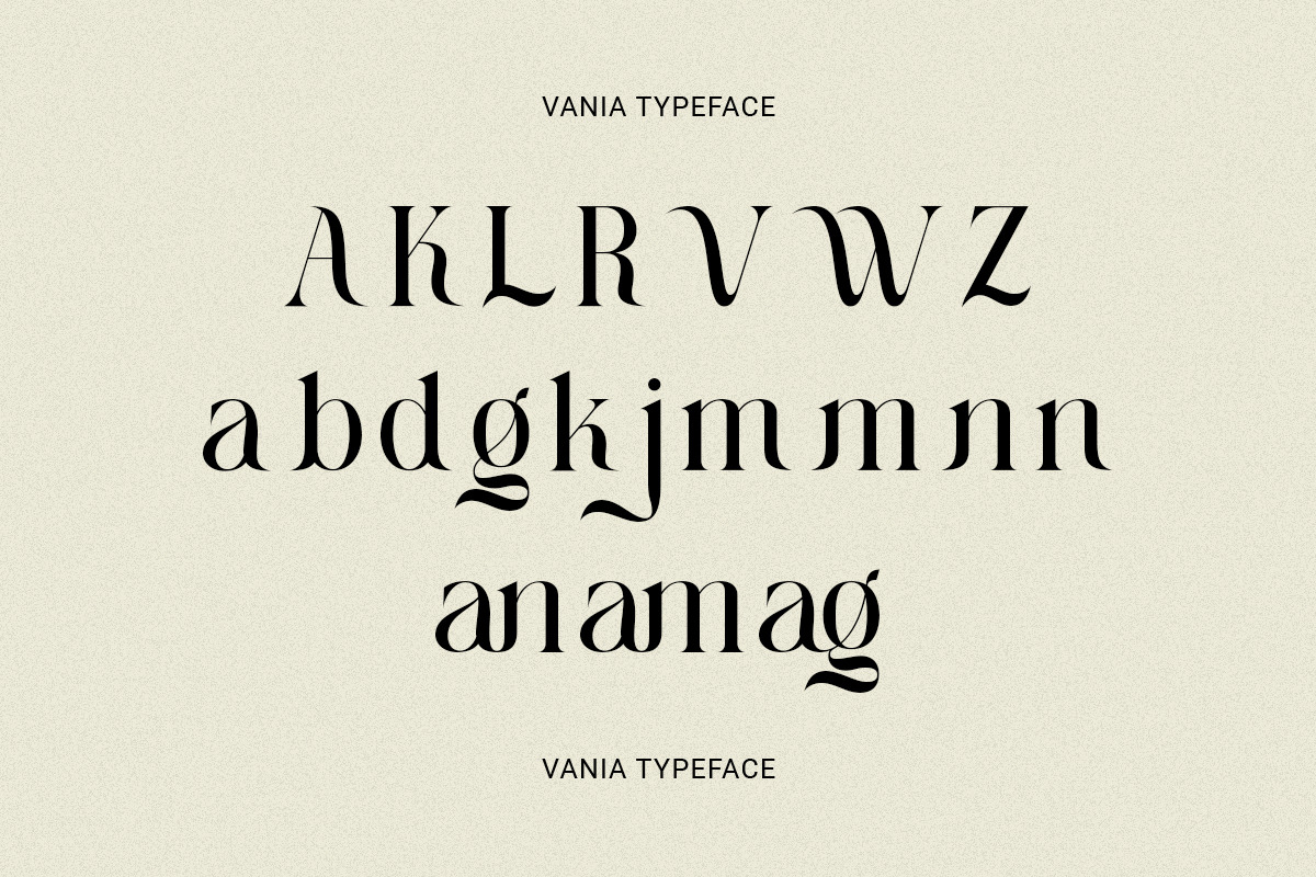 Vania - Elegant Branding Typeface, a Serif Font by Sohel Studio