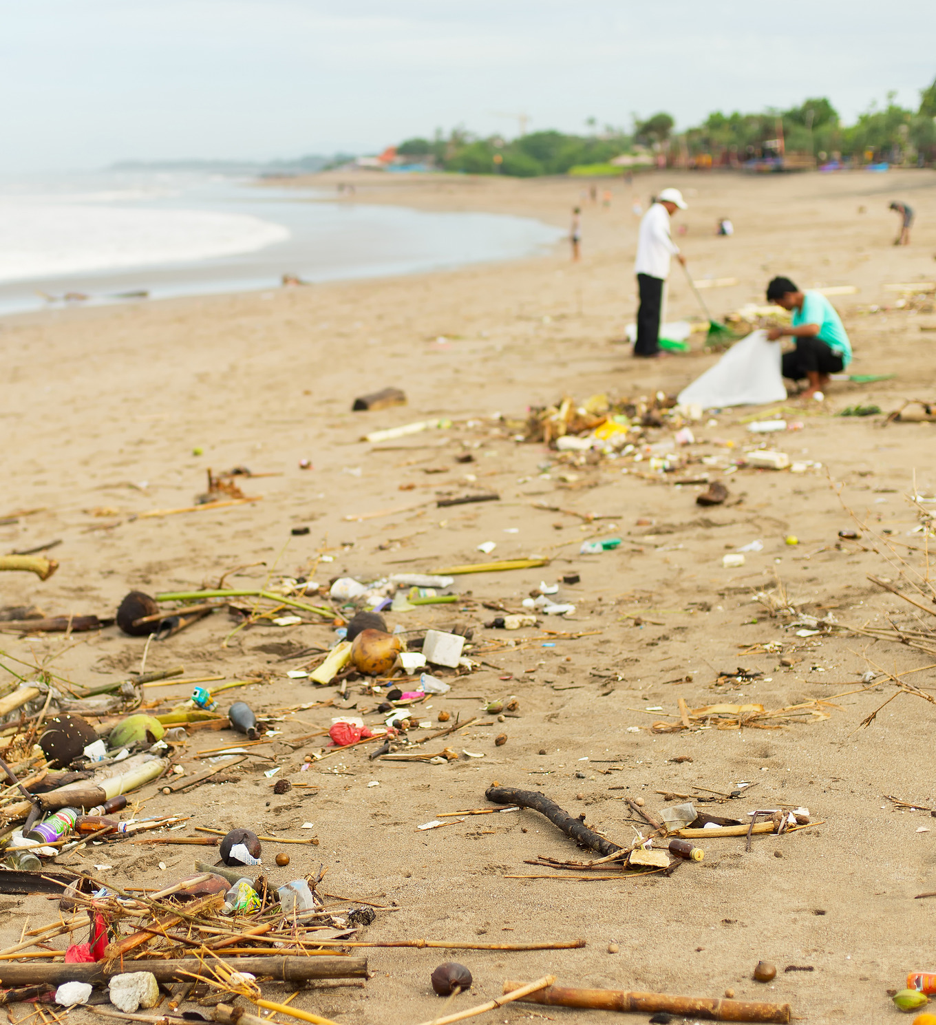 Garbage on the ocean beach featuring beach, trash, and bali, a Nature ...