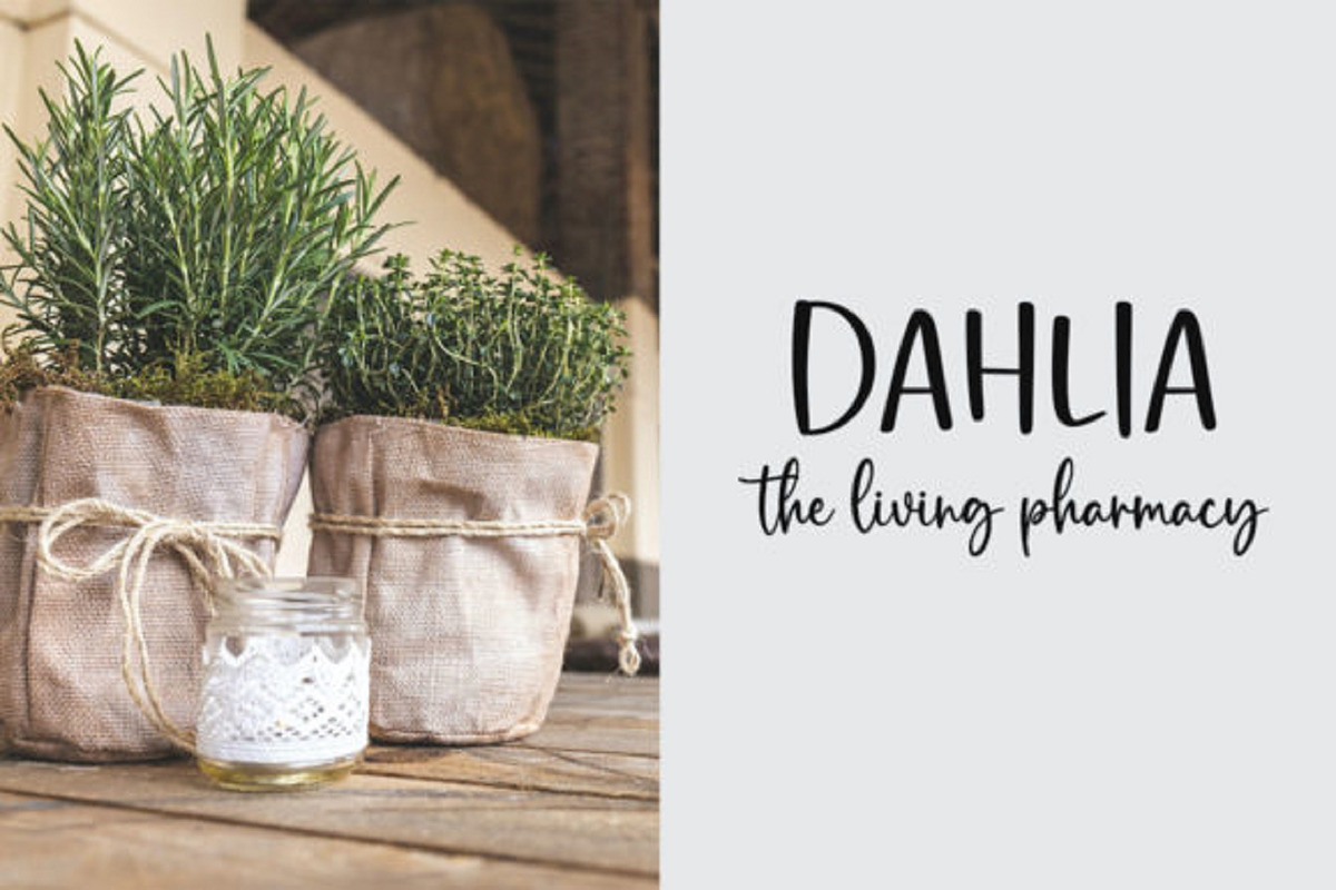 Rustic Pantry Font