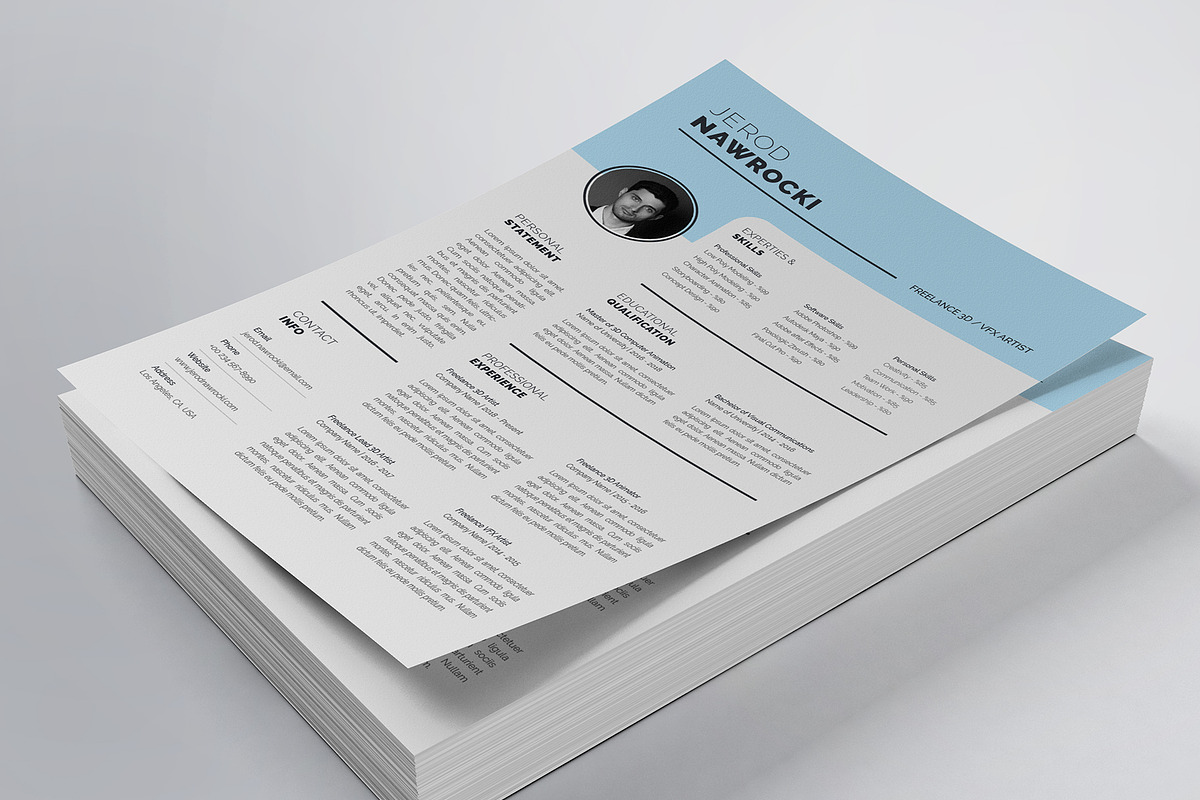 Professional Resume/CV Template