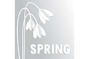 Spring, an Object Illustration by ARTYuSTUDIO