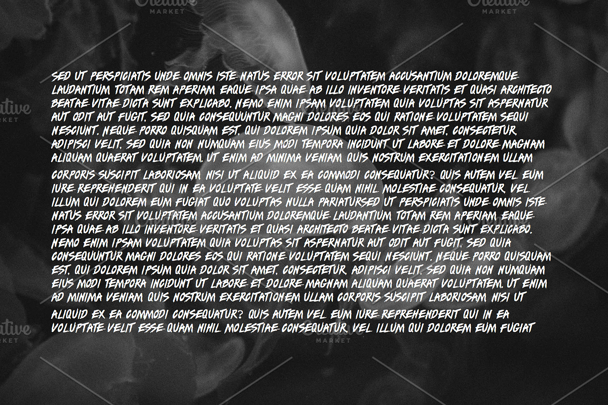 Baywatch Script Font