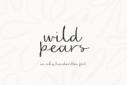 Wild Pears | Handwriting Font, a Script Font by KA Designs