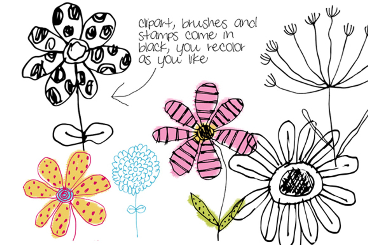 8 Doodle Flowers Clipart & Brushes, an Illustration by Colors on Paper