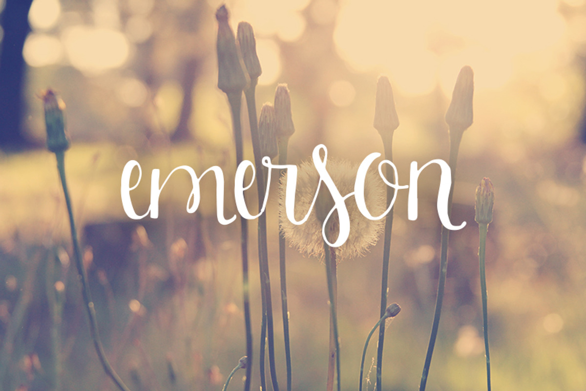 Emerson, a Script Font by OnTheSpotStudio