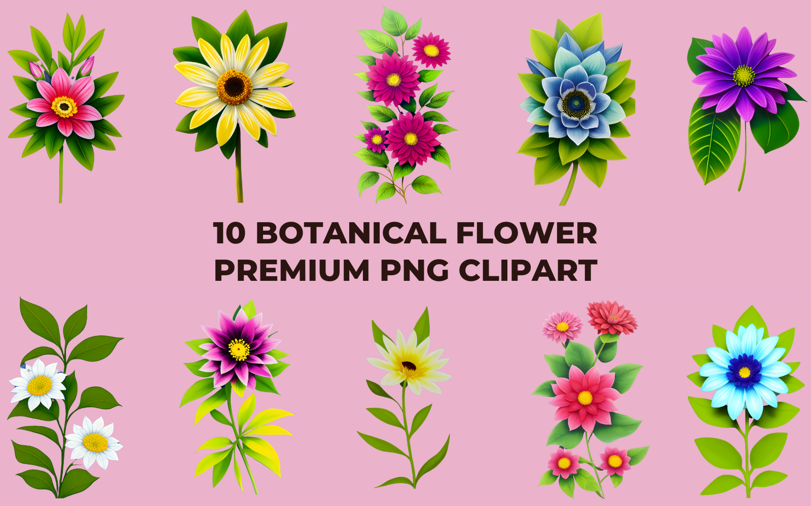 Watercolor Botanical Flower Clipart, a Graphic by Graphicspixel ...