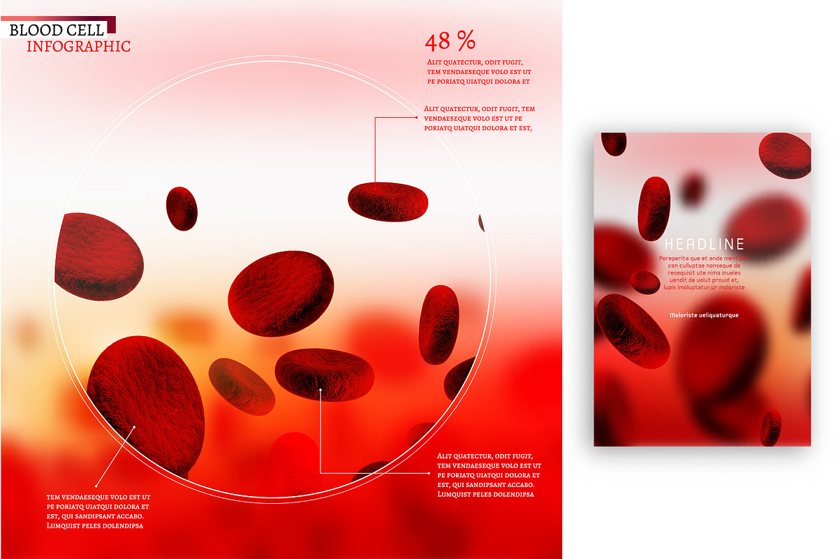 Blood Cells Graphic Set, a Healthcare Illustration by Anna's Shop