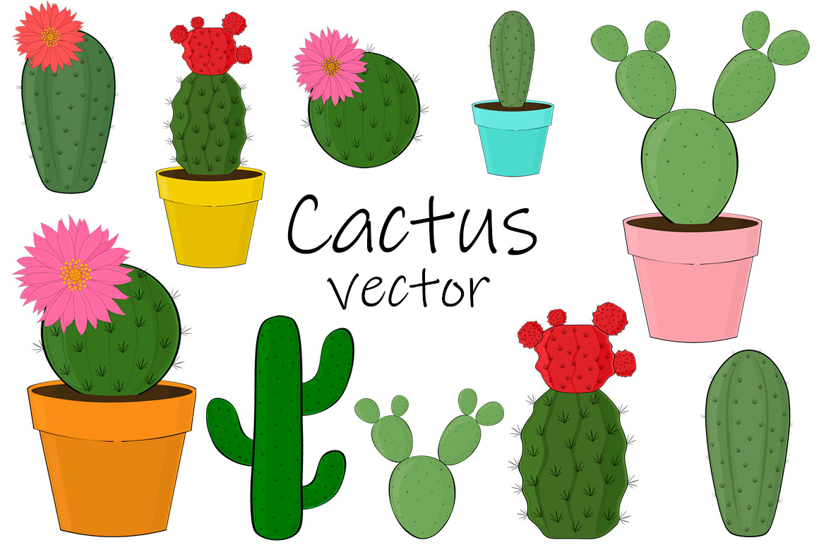 Cactus vector Cactus Clipart Floral, a Decorative Illustration by ...