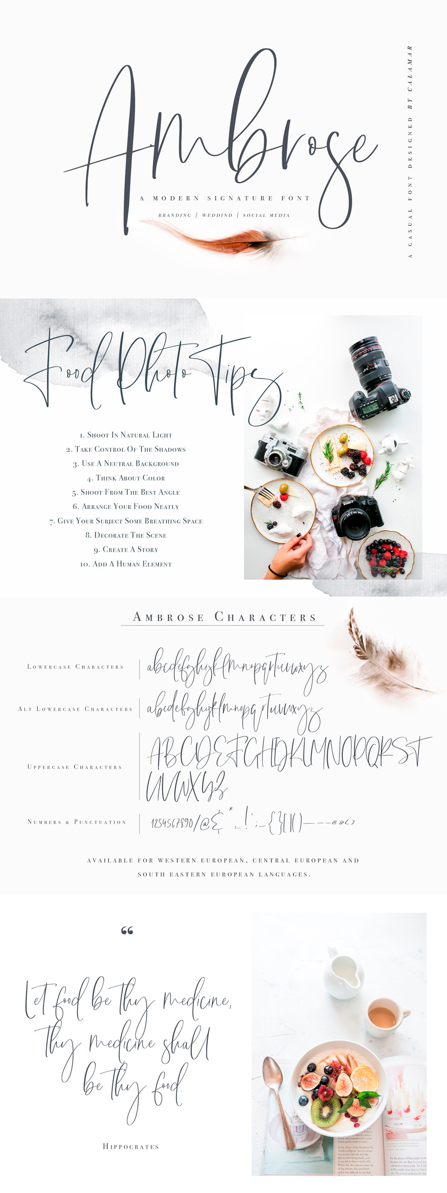 Ambrose Font, a Script Font by Calamar Studio