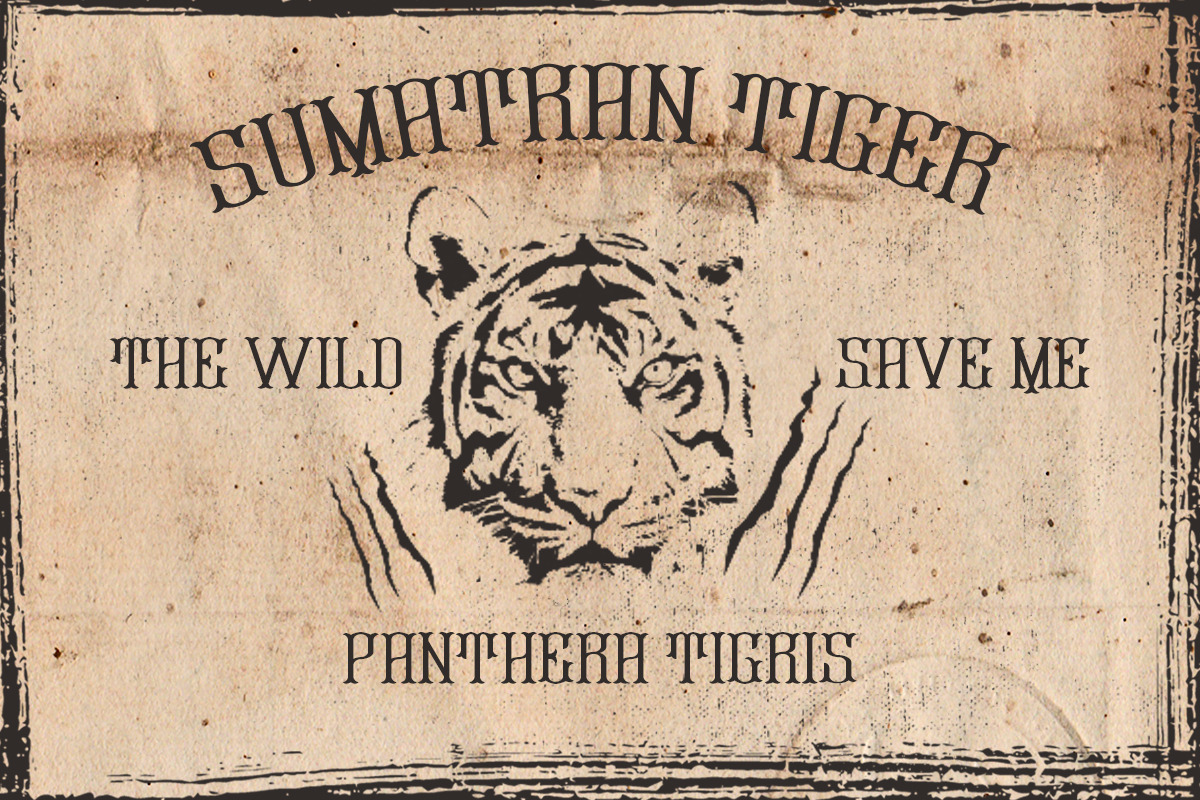 Esteban | Western Font, a Serif Font by Muntab_Art