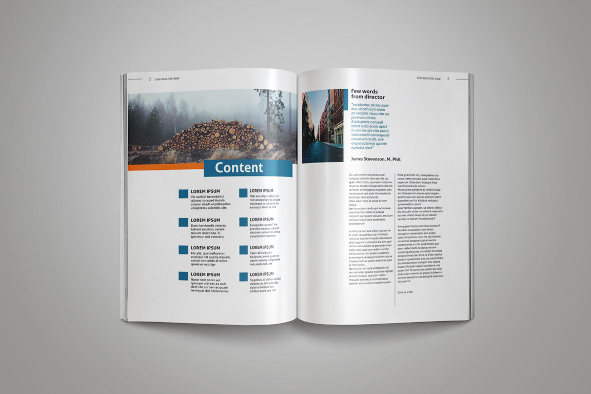 InDesign Magazine Template, a Magazine Template by Indotitas