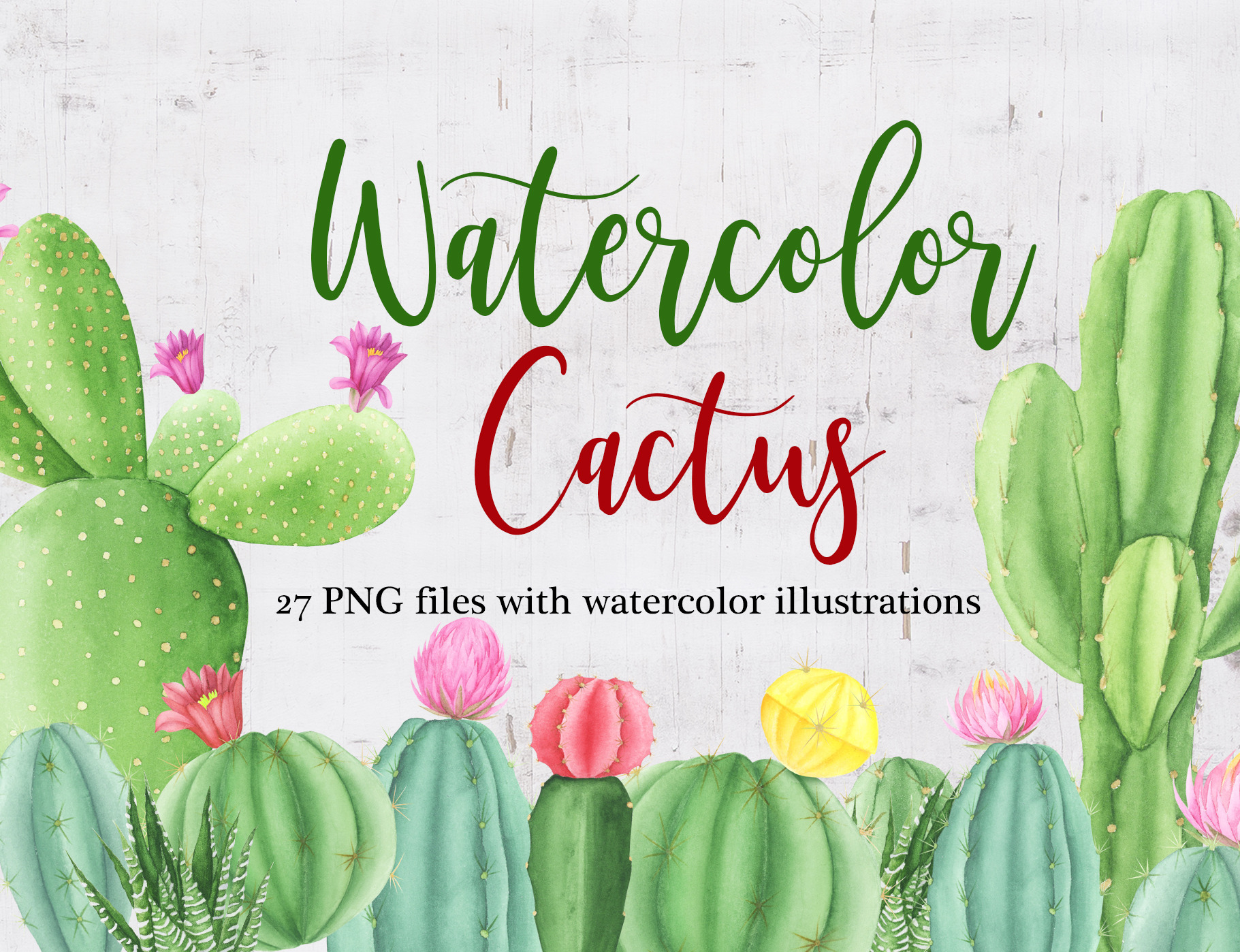 Watercolor Cactus Clipart, a Decorative Illustration by Plants&Stuff