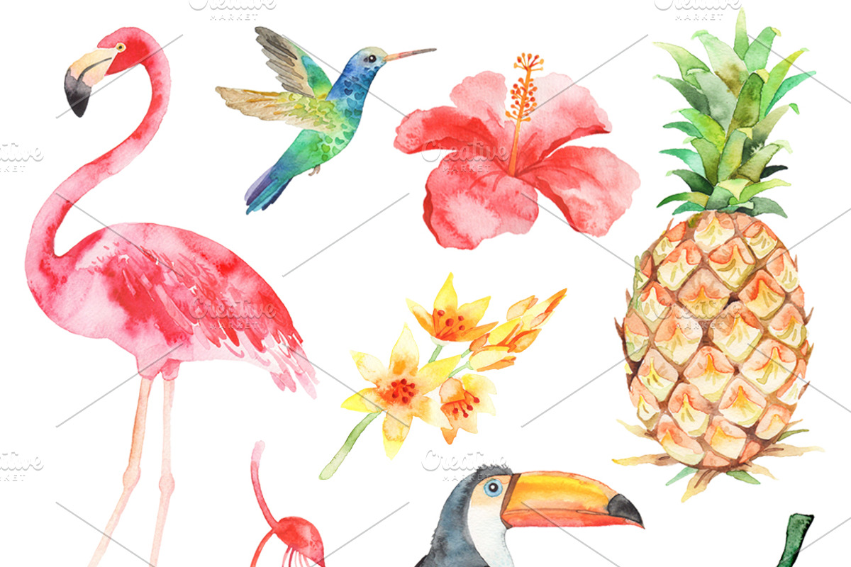 Watercolor tropical set, an Illustration by artnLera